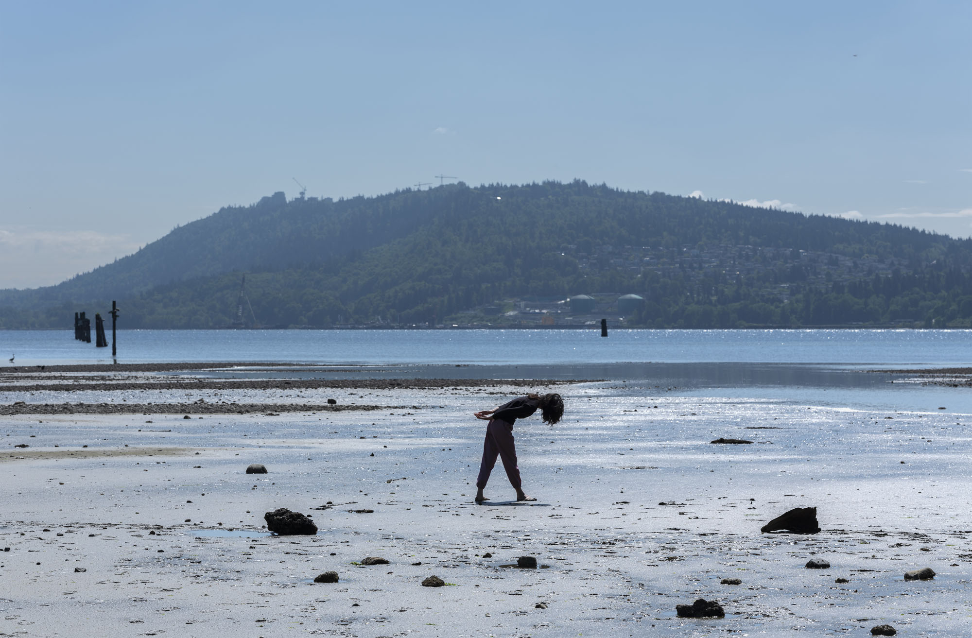 Jin-me Yoon: Dreaming Birds, Becoming Crane - Carleton University Art ...